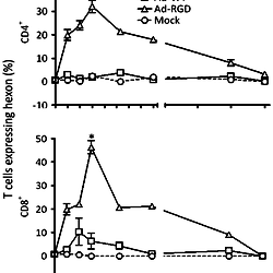 Efficient in vivo transduction of mouse T cells by Ad-RGD.