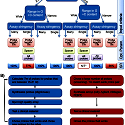 Overview over different assay development strategies.