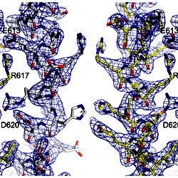 Stereogram of electron density map at the coiled-coil interface in the ...