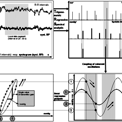 Illustration of BRS estimation process.