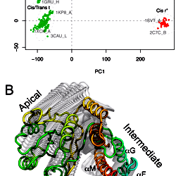 PCA of 287 GroEL subunits.