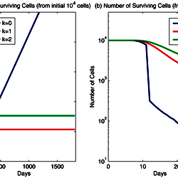 Modeling of cancer cell survival.