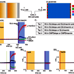 Configuration of VSD assays.