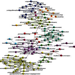 A portion of the minimum spanning tree of the semantic space.