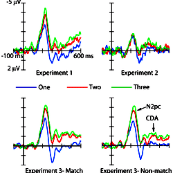 The grand-average difference waveforms obtained by subtracting the ipsilateral activations from ...