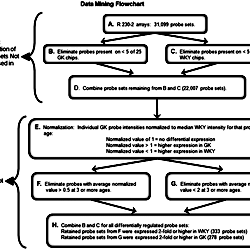 Data mining flowchart.