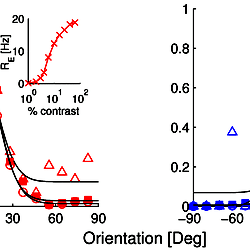 Orientation tuning curves of normalized responses for an excitatory ...
