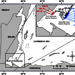 Map of coral core extraction sites on the Mesoamerican Reef.