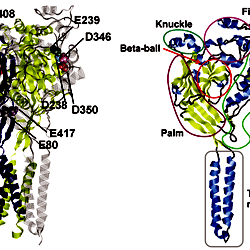 Overview of ASIC1 [5].