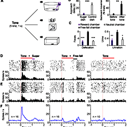 Bi-directional encoding of positive and negative signals via the same ...