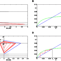 First return map analysis for Model 3.