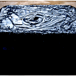 Presentation of concealed fruit (placed inside the two inverted black ...