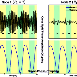 Phase-Amplitude Coupling (PAC) simulation.