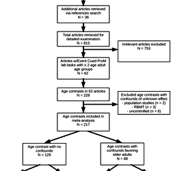 Flowchart for selection of studies and age contrasts in the present study.