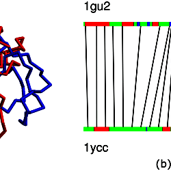 Example of structure alignment by ESA.
