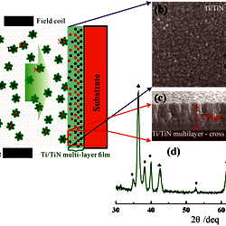 The prepared process (a), SEM surface (b), cross-section morphologies ...