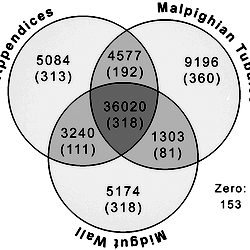 Venn diagram showing the distribution of transcripts in the tissue ...