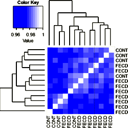Heatmap visualization of pairwise Spearman correlation coefficients ...
