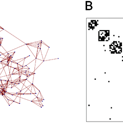 Network structure and connectivity matrix.