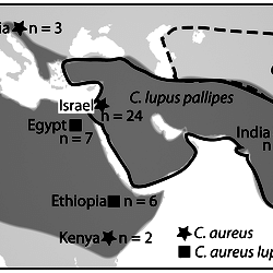 Map of distribution ranges and samples.