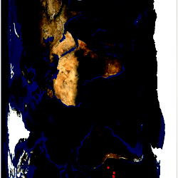 Map of Pheronema sp. distribution on the world ocean seamounts.