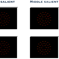Stimulus displays used in the present visual pop-out binary ...