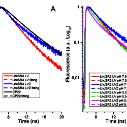 Time-resolved fluorescence analysis.