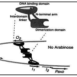Examples of figure text in figures.