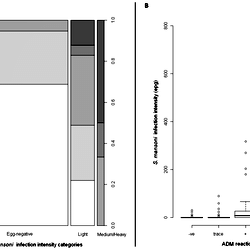 Comparisons of ADM and DEDM.