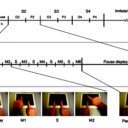 Schematic Overview of the Task Structure.