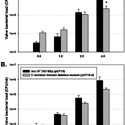 Effects of mutations altering Asc10 subdomains on adherence and biofilm ...