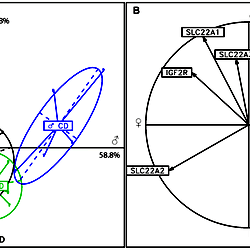 Linear discriminant supervised clustering analysis.