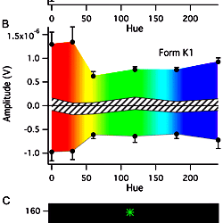 Comparison of Form (K1) and Surface (K2.1) color VEPs across Hue values ...