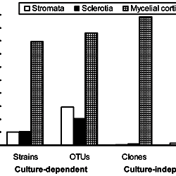 Percentage of strains/clones and OTUs detected by the culture-dependent ...