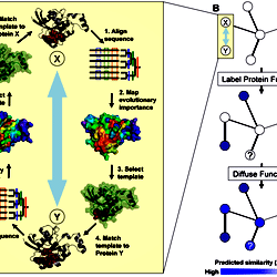 Overview of ETA Network Diffusion.