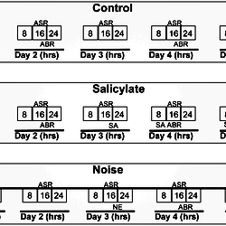 Time line showing day and approximate time of day for each procedure.