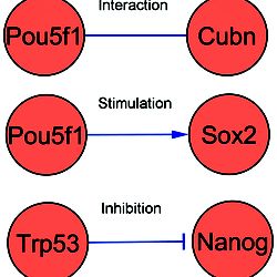 Graphical symbols of the various link types.