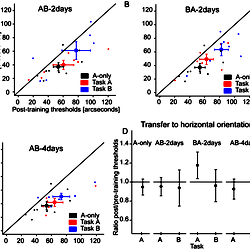 Results for the bisection task.