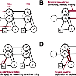 Different structures in sequential decision-making.