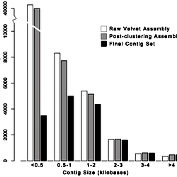 Size distribution of contigs at three points of the assembly.