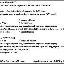 Pseudocode of the FSA algorithm.