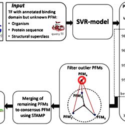PFM prediction framework and error estimation.