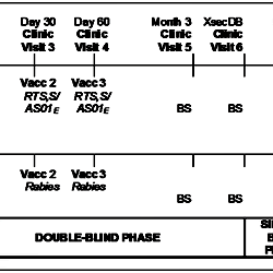 Study design overview.