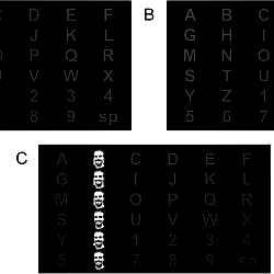 A comparison of stimulus types in online classification of the P300 ...