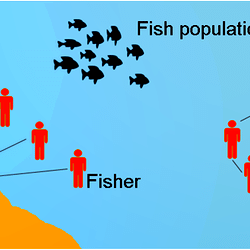 The environment of the fishery model.