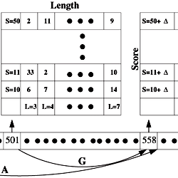 Illustration of APP mass grid with internal structure.