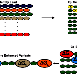 Schematic of the additivity algorithm.