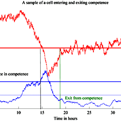 Single SSA run for hours.