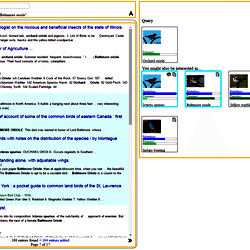 Visual search interface incorporating suggested semantically related ...