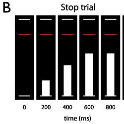 Schematic of the stop-signal anticipation task.